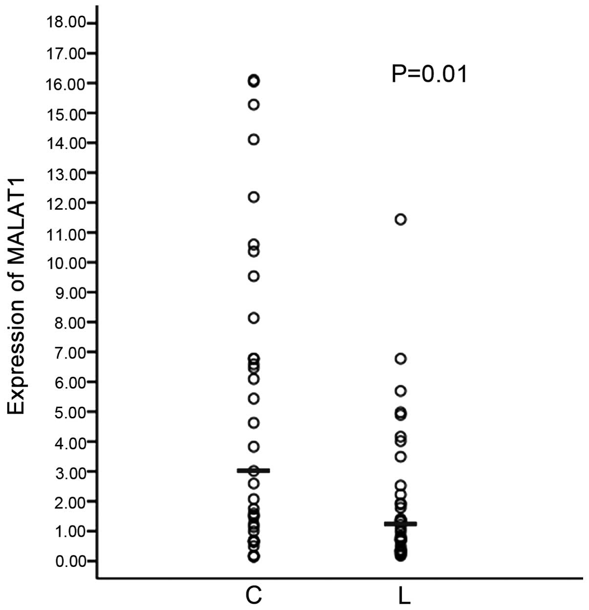 Expression of MALAT1 in the peripheral whole blood of patients with ...
