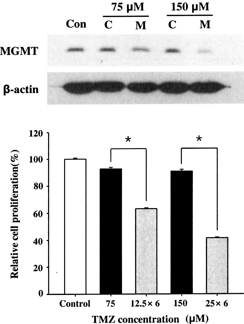 Metronomic treatment of temozolomide increases anti-angiogenicity ...