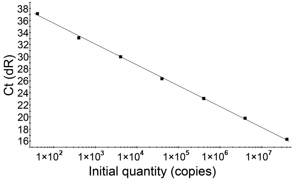 LNA real-time PCR probe quantification of hepatitis B virus DNA
