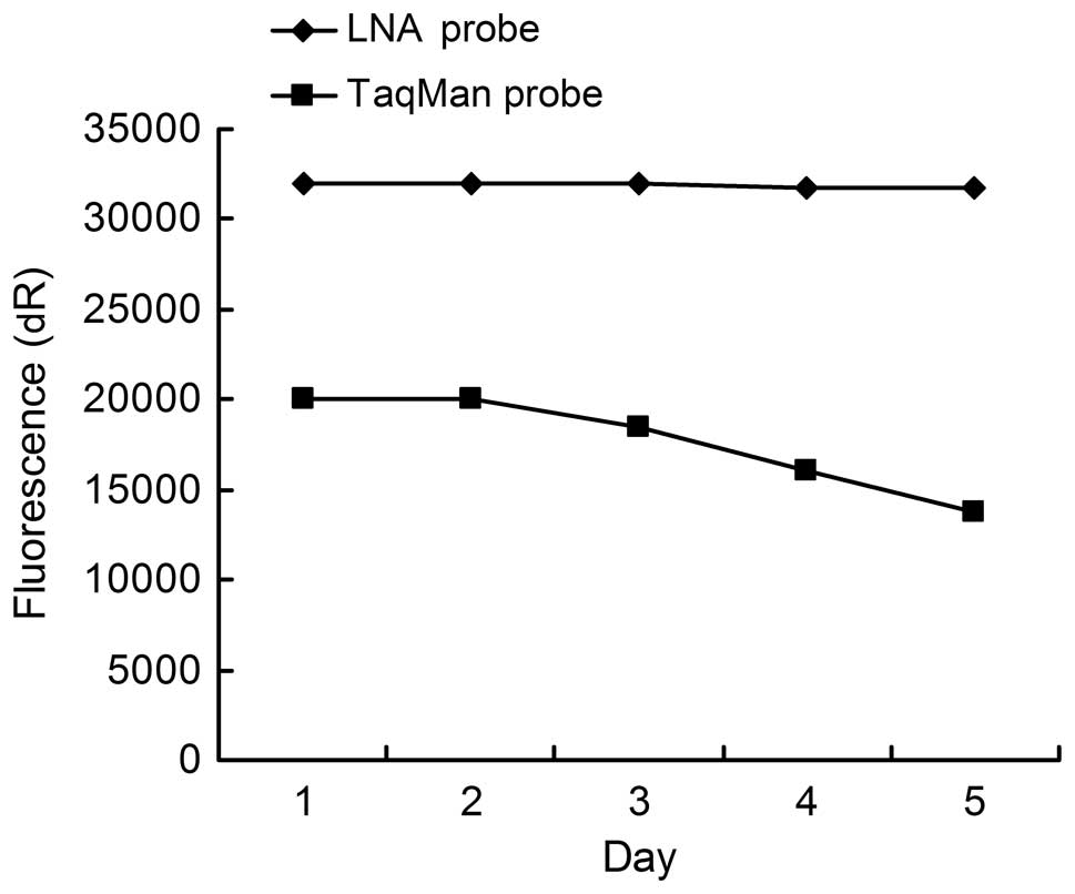 LNA real-time PCR probe quantification of hepatitis B virus DNA