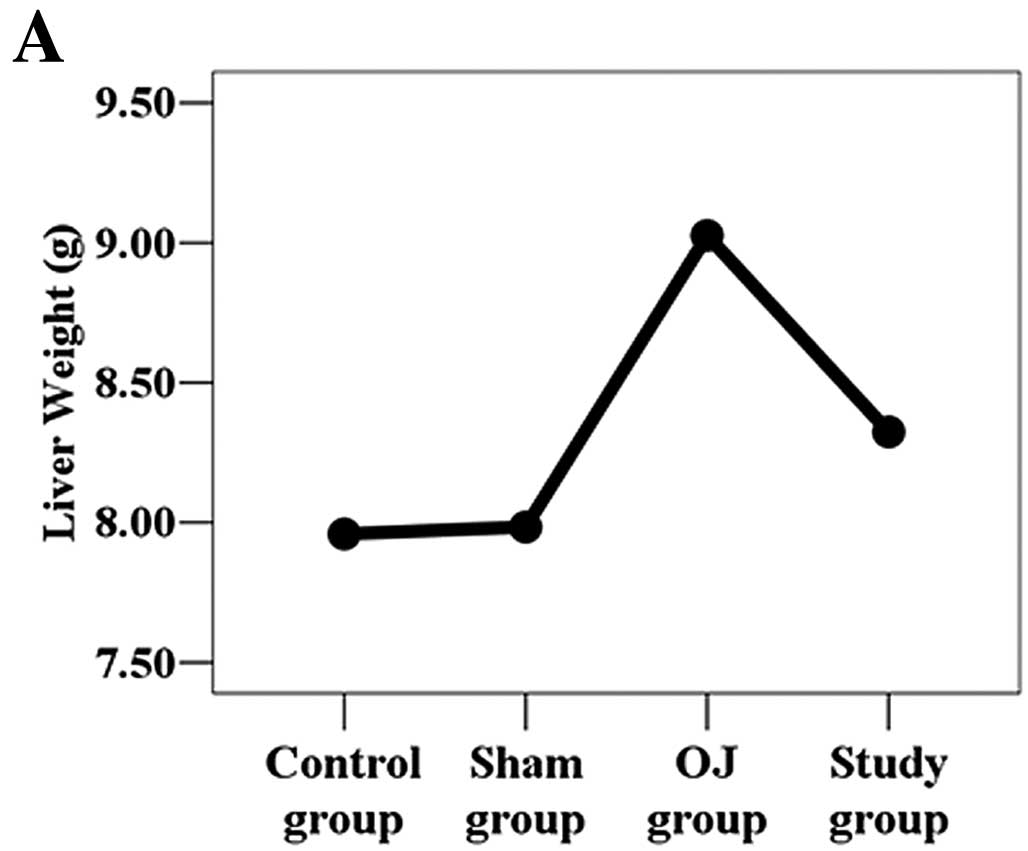 Protective effects of capillary artemisia polysaccharide on oxidative ...