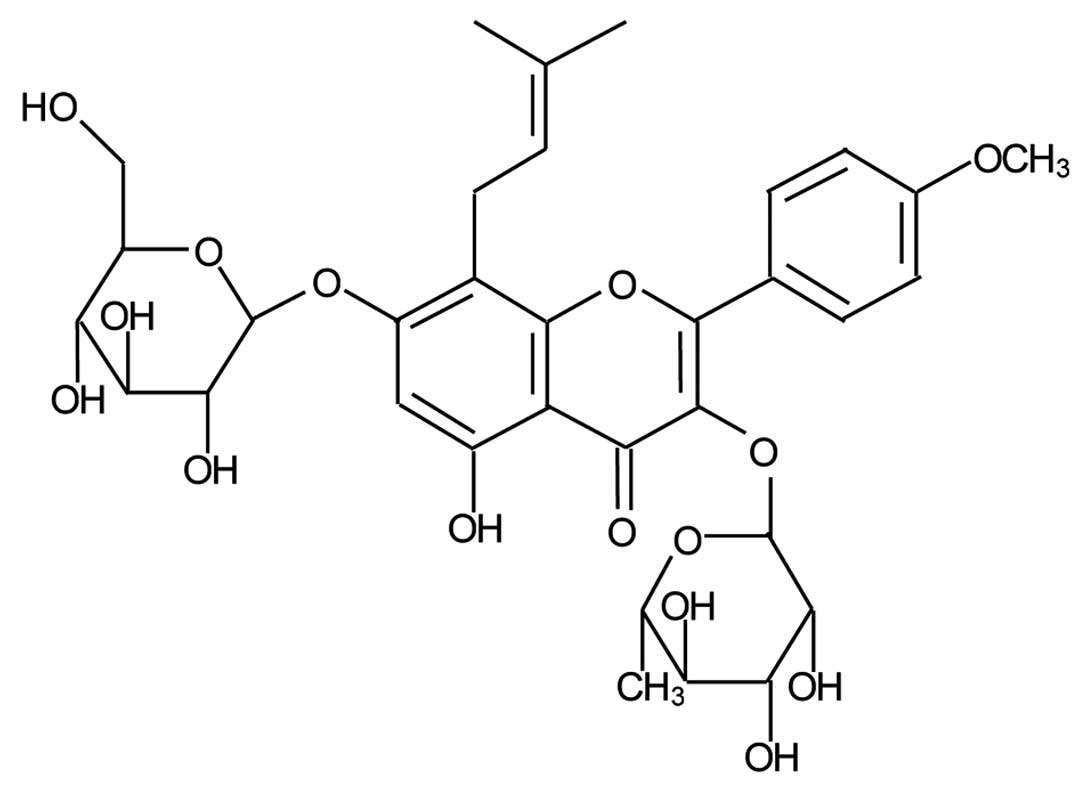 Chemical Makeup Of Human Bone Saubhaya Makeup Chemical Makeup Of Human Bone Saubhaya Makeup