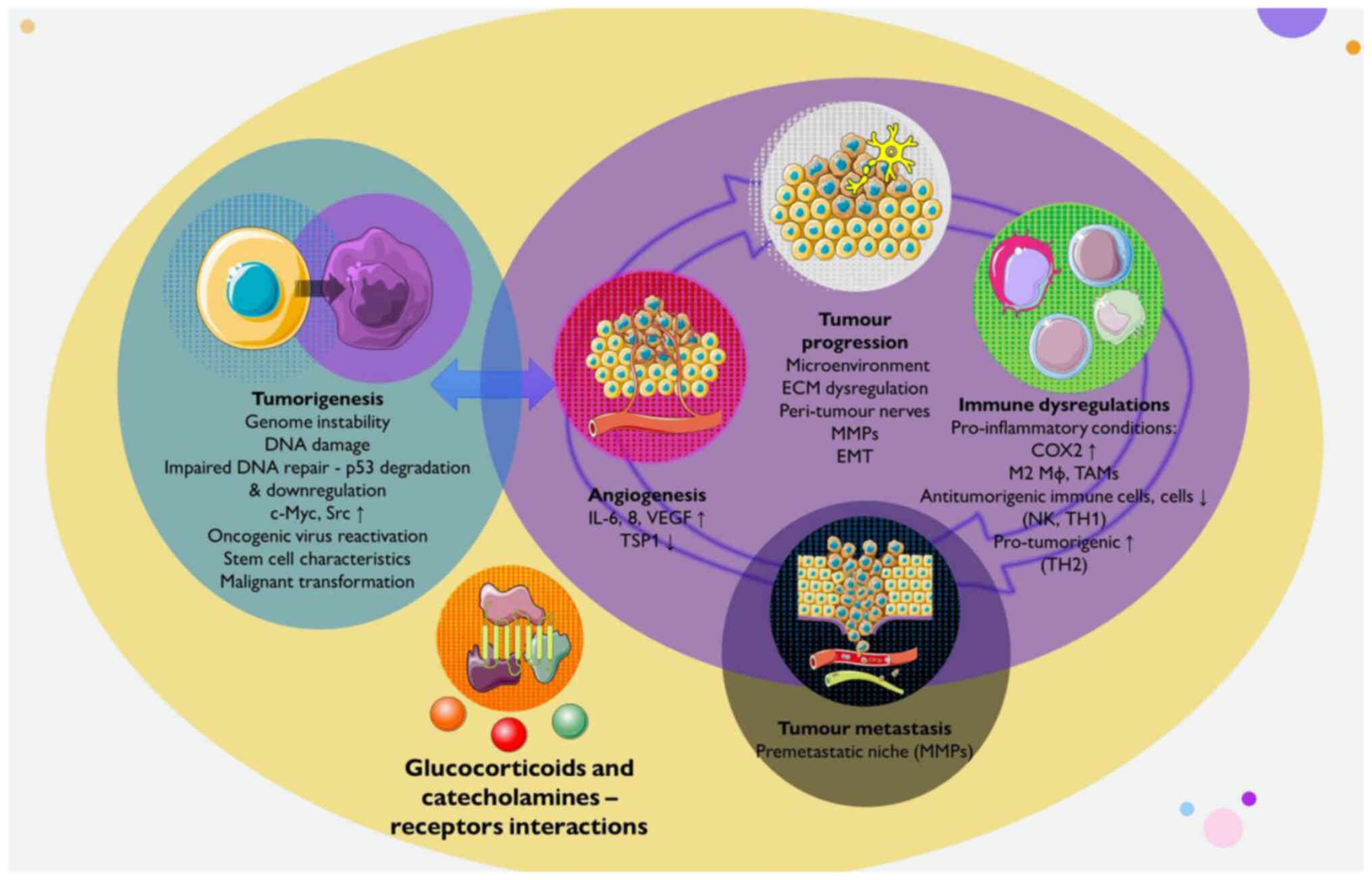 Role Of Stress In The Pathogenesis Of Cancer Review Role Of Stress In The Pathogenesis Of Cancer Review