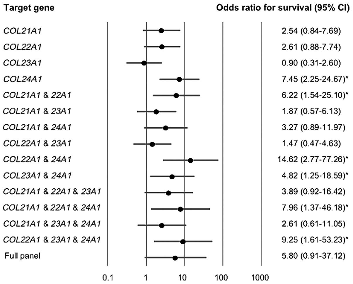 Prognostic value of type XXII and XXIV collagen mRNA expression in head ...