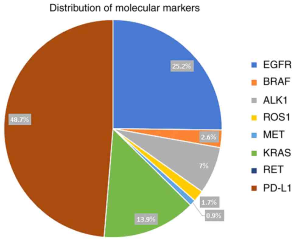 A retrospective, descriptive analysis identifying non‑small cell lung ...