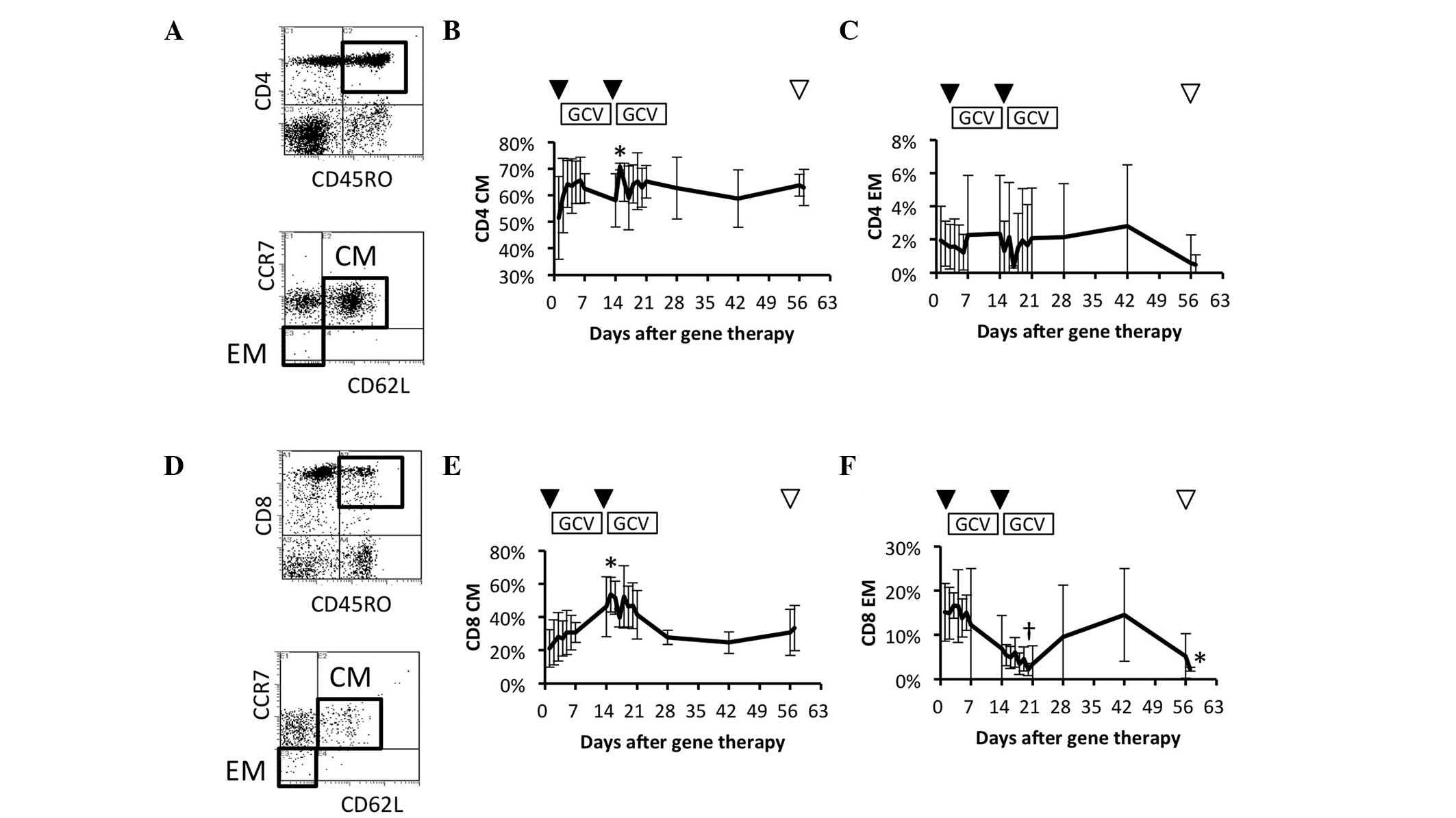 Enhanced central memory cluster of differentiation 8+ and tumor antigen ...