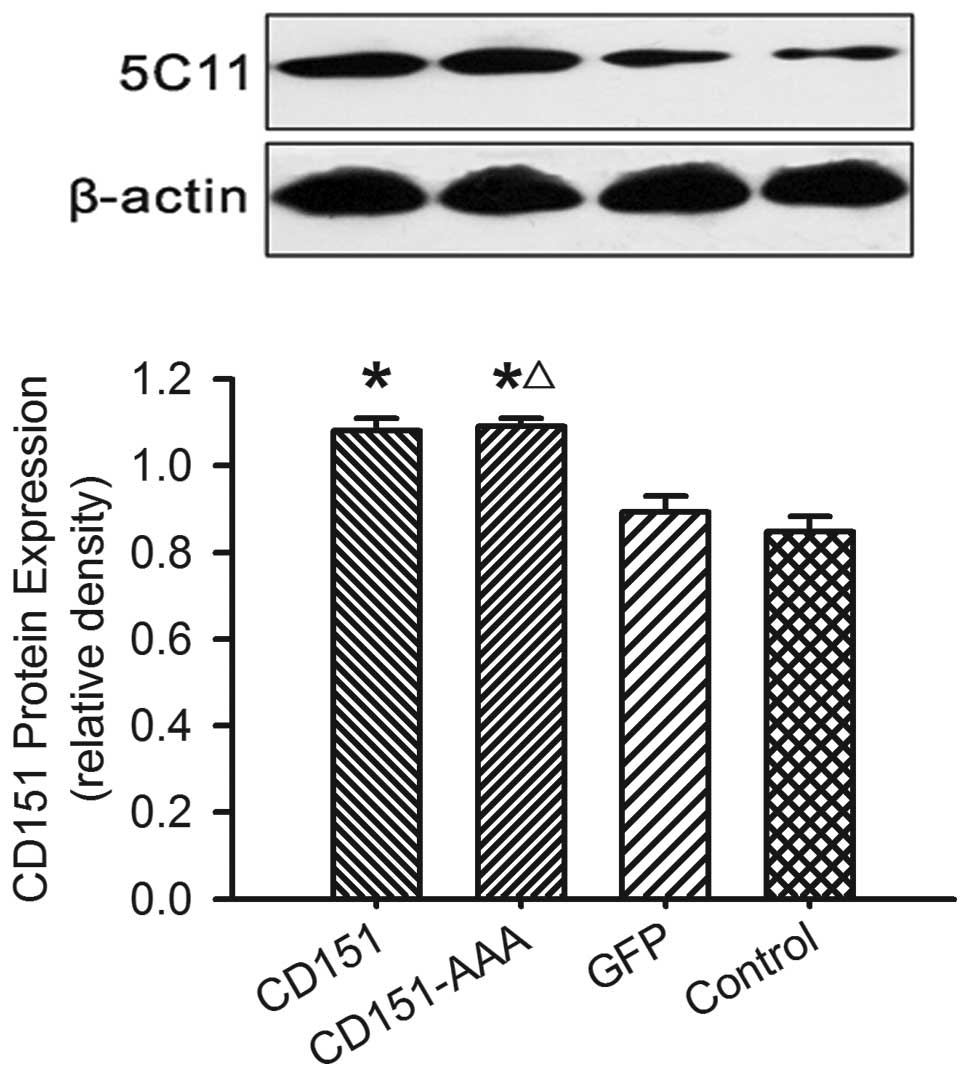 Molecular Medicine Reports