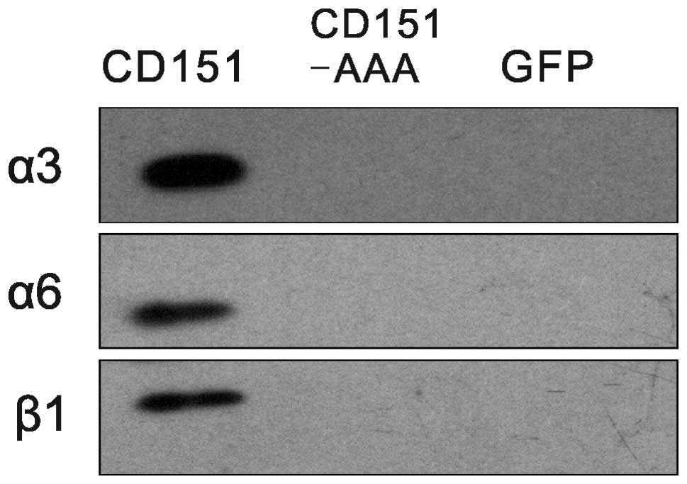 Molecular Medicine Reports