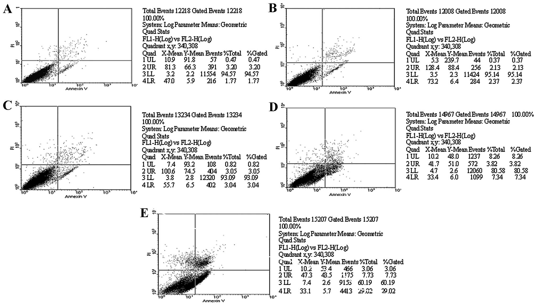 Probucol inhibits hydrogen peroxide to induce apoptosis of vascular ...
