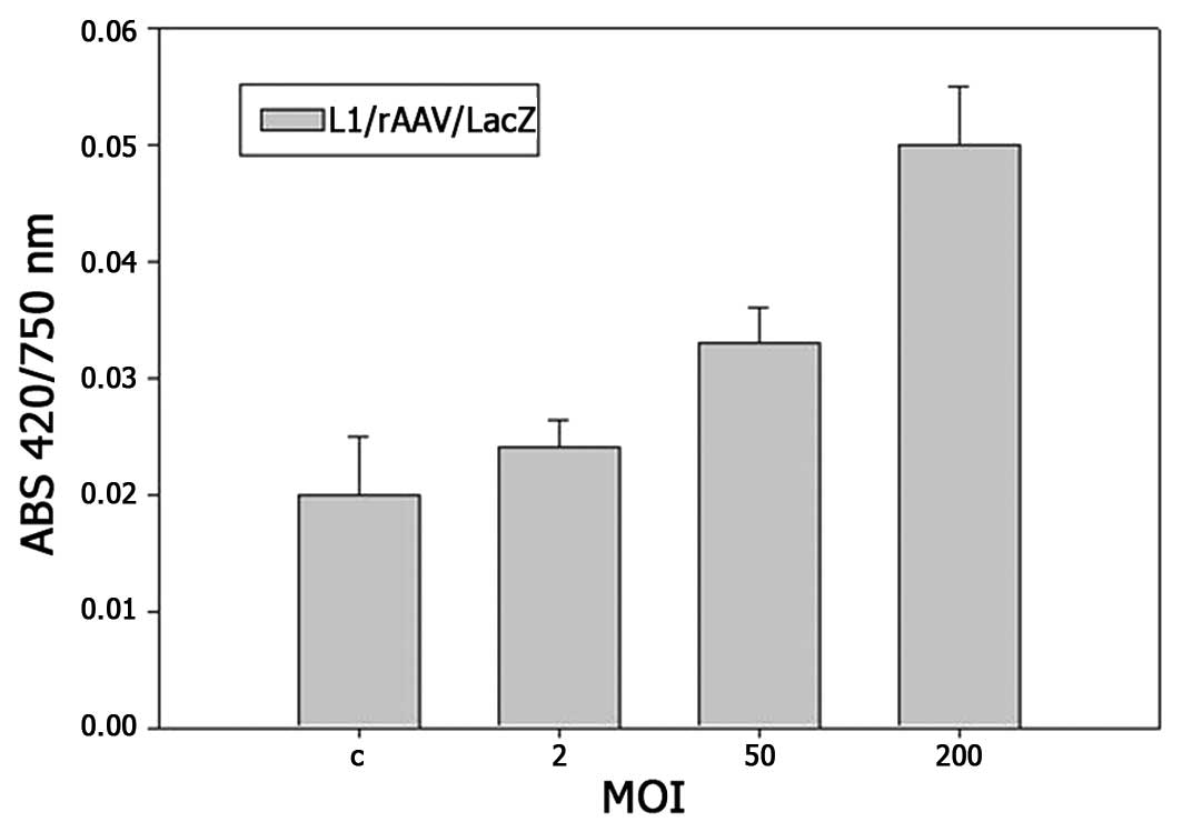 Recombinant adeno-associated viruses (rAAV2) facilitate the intraperitoneal gene delivery to ...