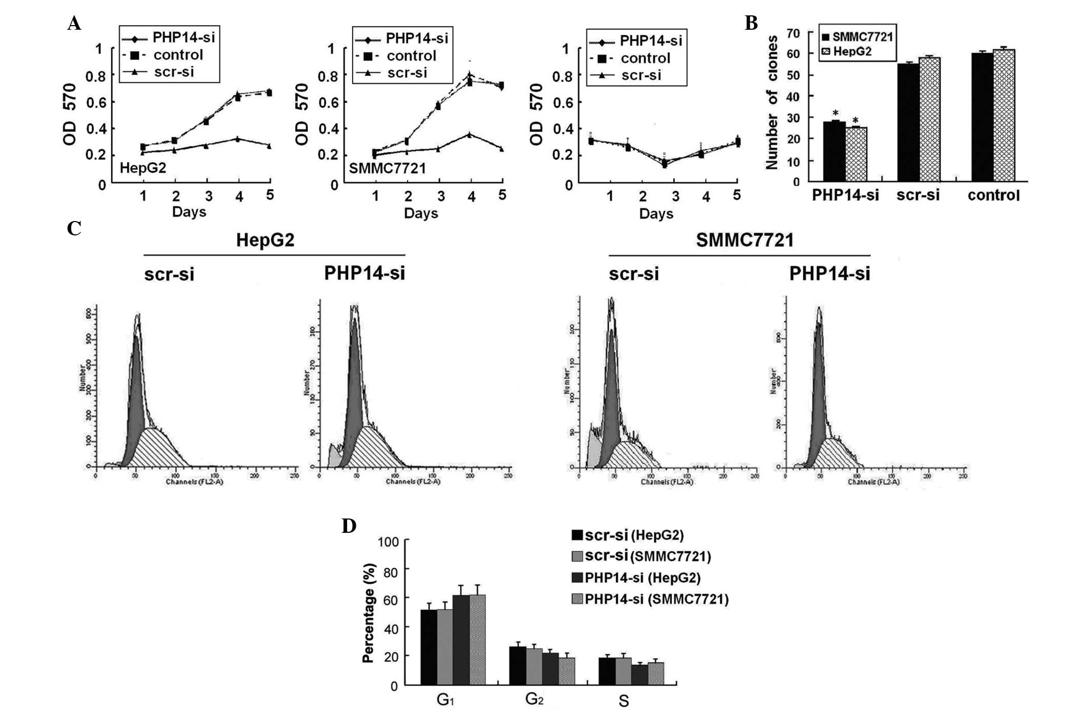 14‑kDa Phosphohistidine phosphatase plays an important role in ...